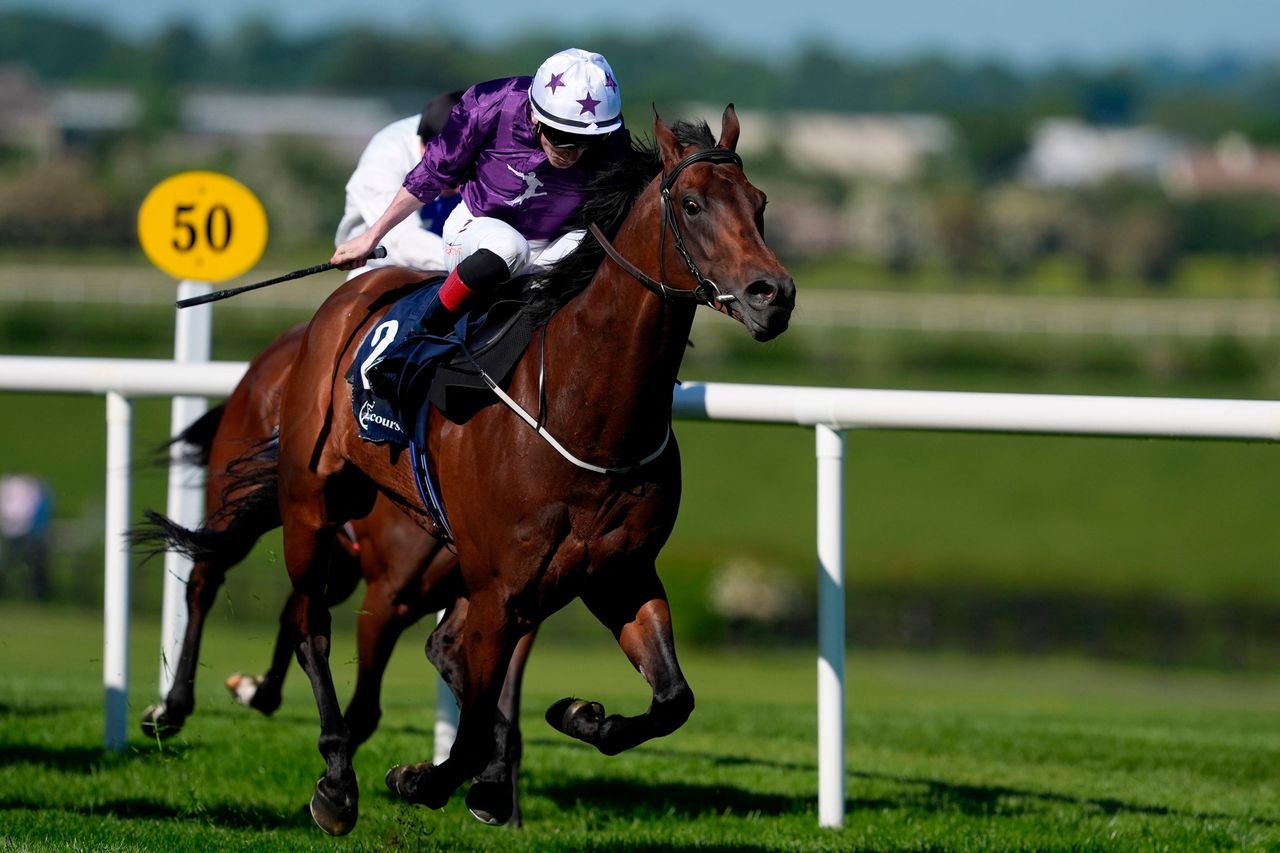 Babouche proves highlight of brilliant treble for Ger Lyons and Colin ...