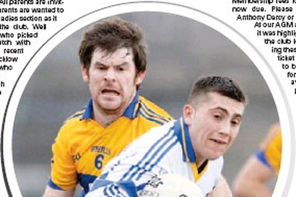 GRASSROOTS | Irish Independent