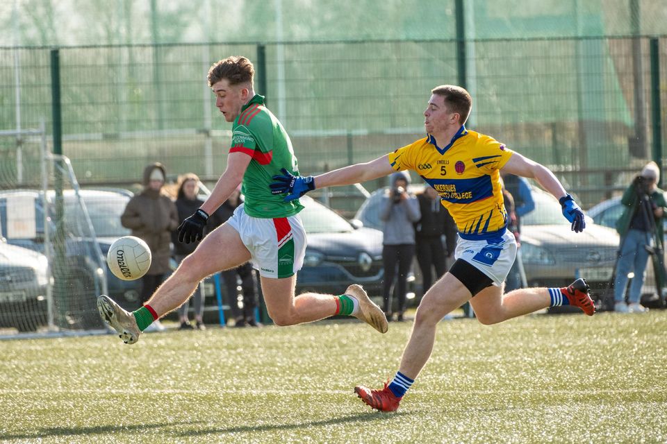 Gorey’s glory never in doubt | Irish Independent