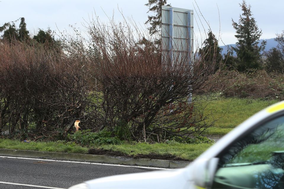 Man dies after motorway collision between truck and car | Irish Independent