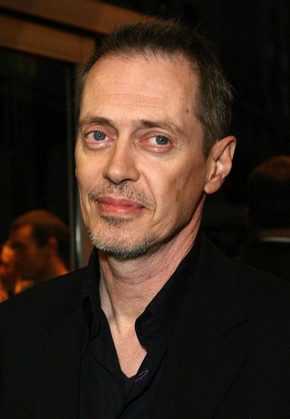 Person in custody over assault on actor Steve Buscemi in New York ...
