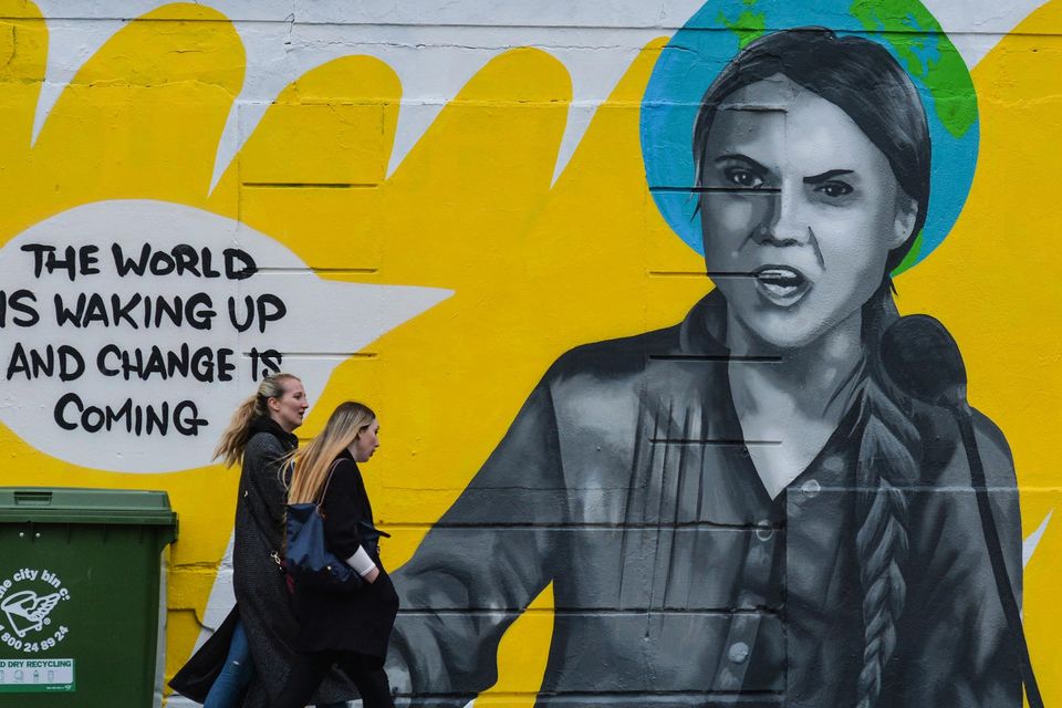 TDs to get gift of knowledge as climate campaigners buy them Greta’s ...