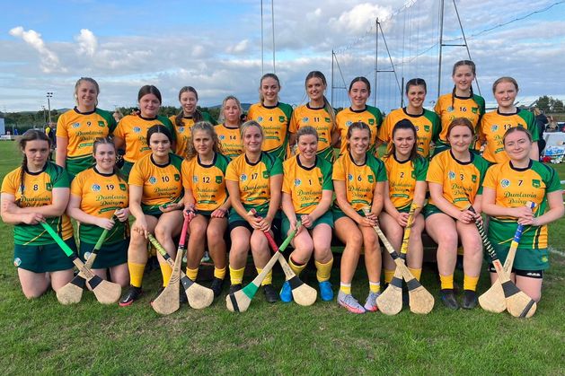 Donard-The Glen reach the Senior camogie semi-final | Irish Independent