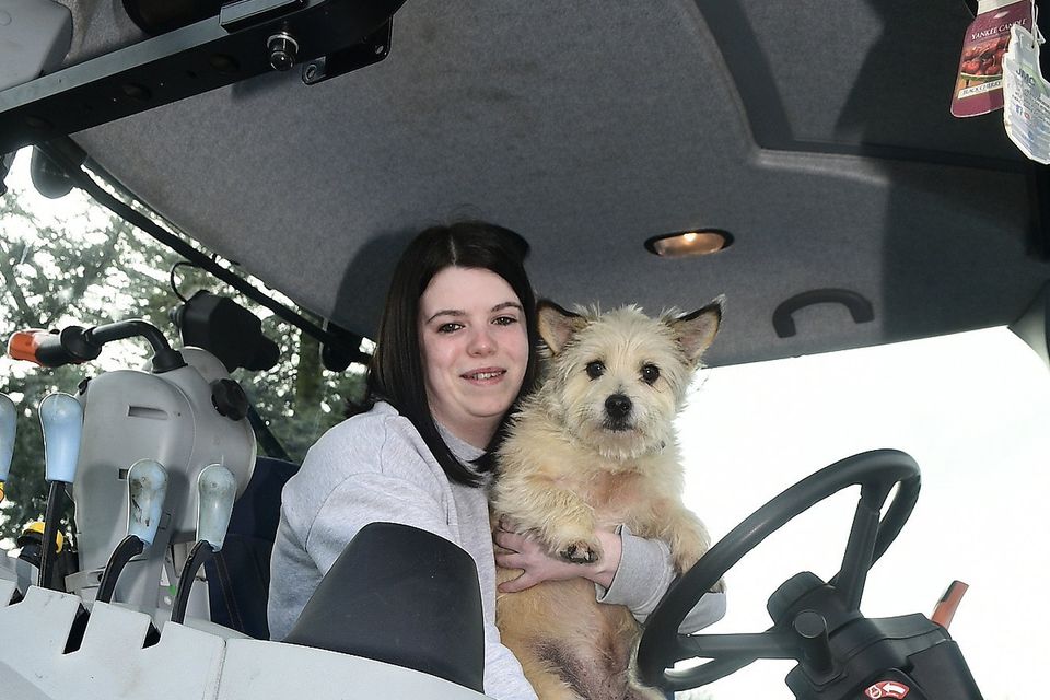 In pictures: Vintage tractor run supports Cullen National School ...