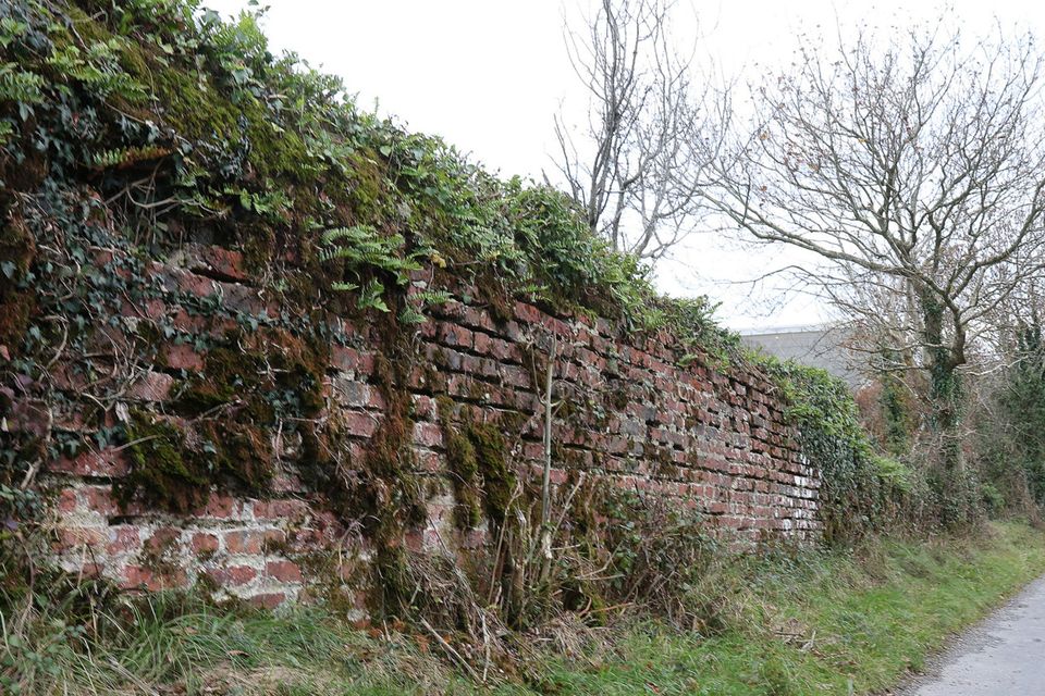 Famine-era wall in Ballyhogue made a protected structure | Irish ...