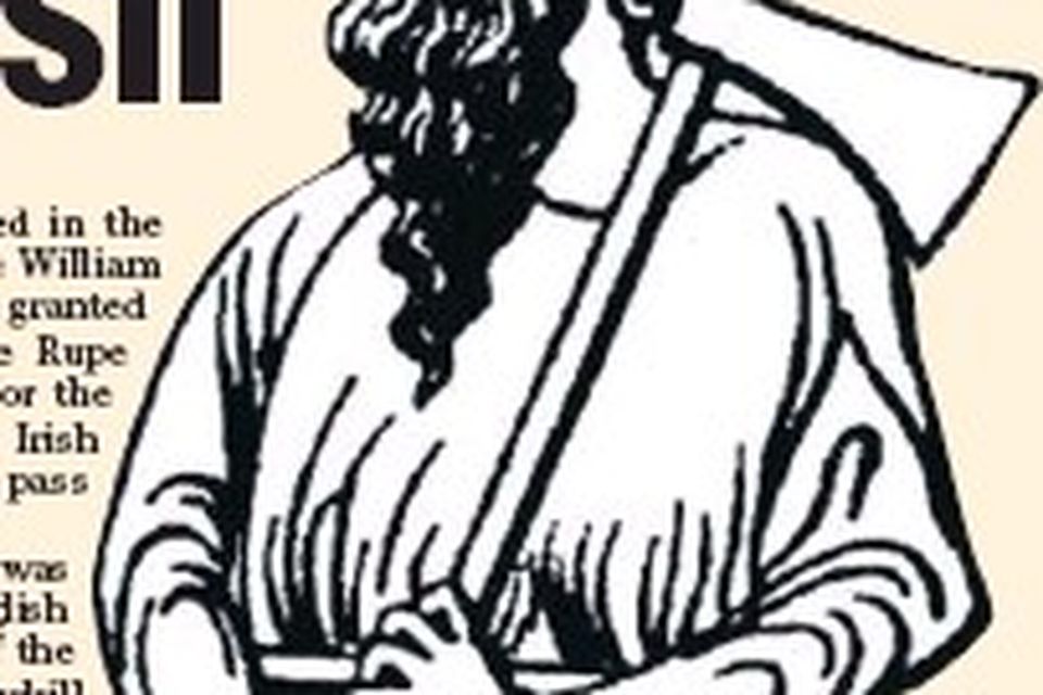Normans in east Wicklow and the effect on the Irish | Irish Independent
