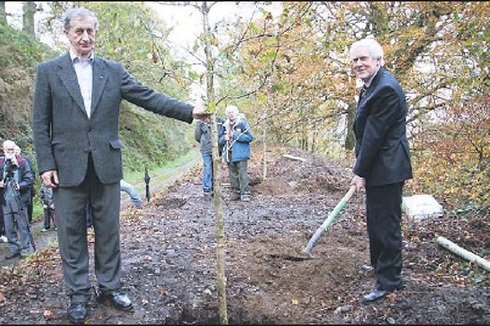 Tree planting marks 40 years of Templeglantine Comhaltas | Irish ...