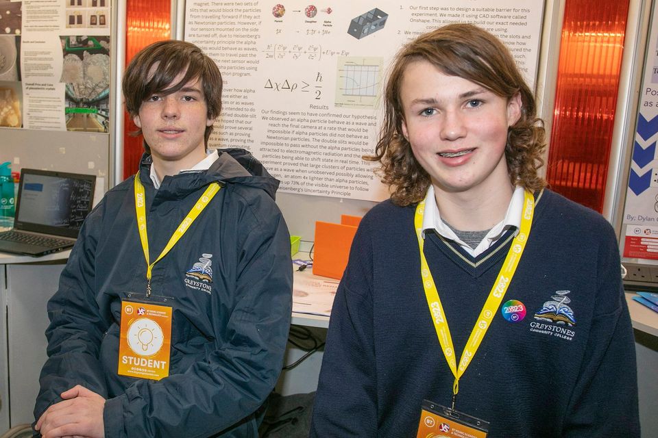 Wicklow students take home two prizes at BT Young Scientist ...