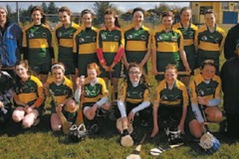 Kerry host successful Munster camogie blitz | Independent.ie