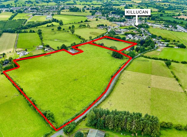 Over €34,000/ac paid for 22ac farm on edge of Westmeath village of ...