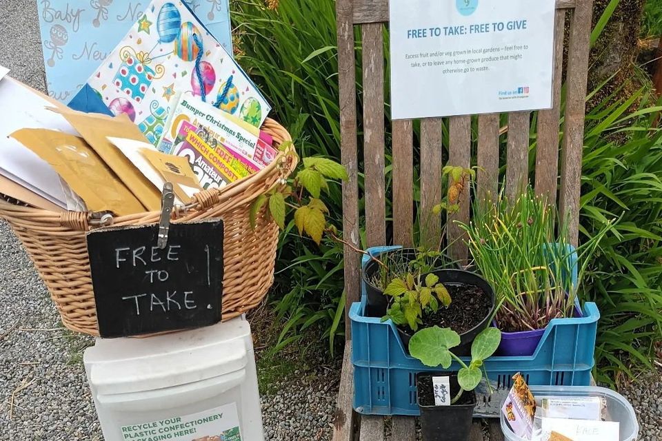 Go Greener with Grangecon launch harvest share stand | Irish Independent