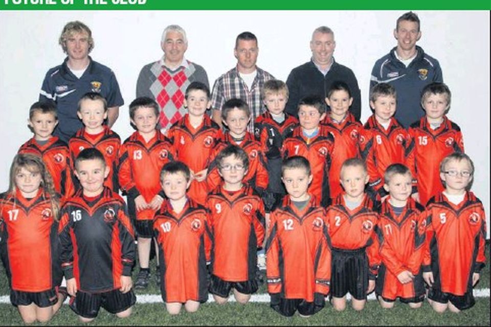 Ballinastragh book spot in semi-final | Independent.ie