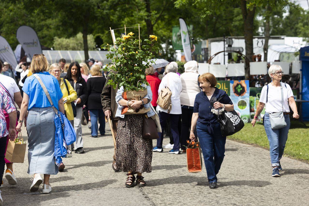 ‘Lots of colour, great atmosphere’: Sunshine returns to Bord Bia Bloom ...