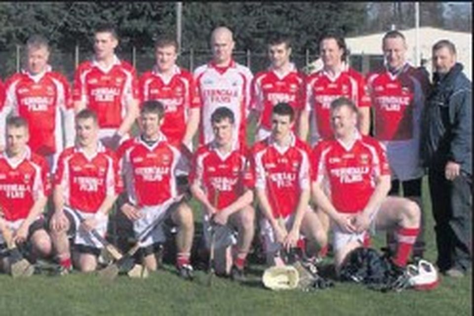 Glenealy reach the final | Independent.ie