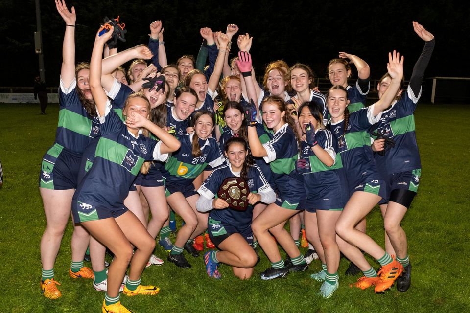 Bray Emmets power to victory over Rathnew | Irish Independent