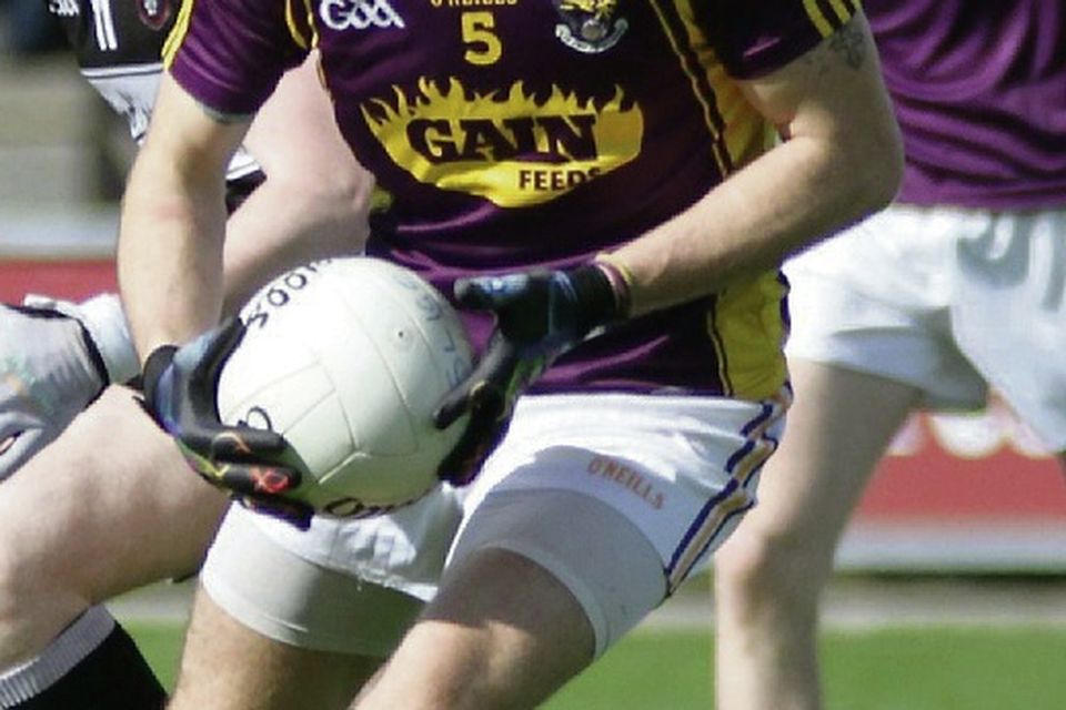 Wexford see off Sligo | Irish Independent