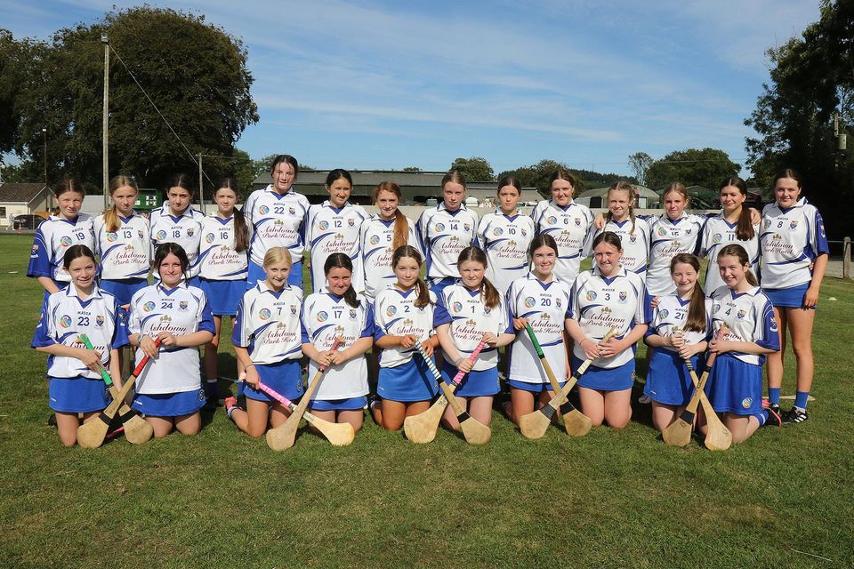 Craanford crowned after edging out Rathnure in thriller | Irish Independent