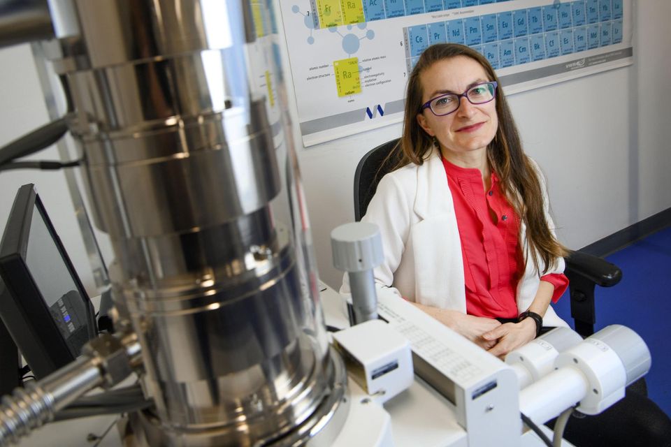 UCC scientists reveal flying dinosaurs could change and adapt the ...