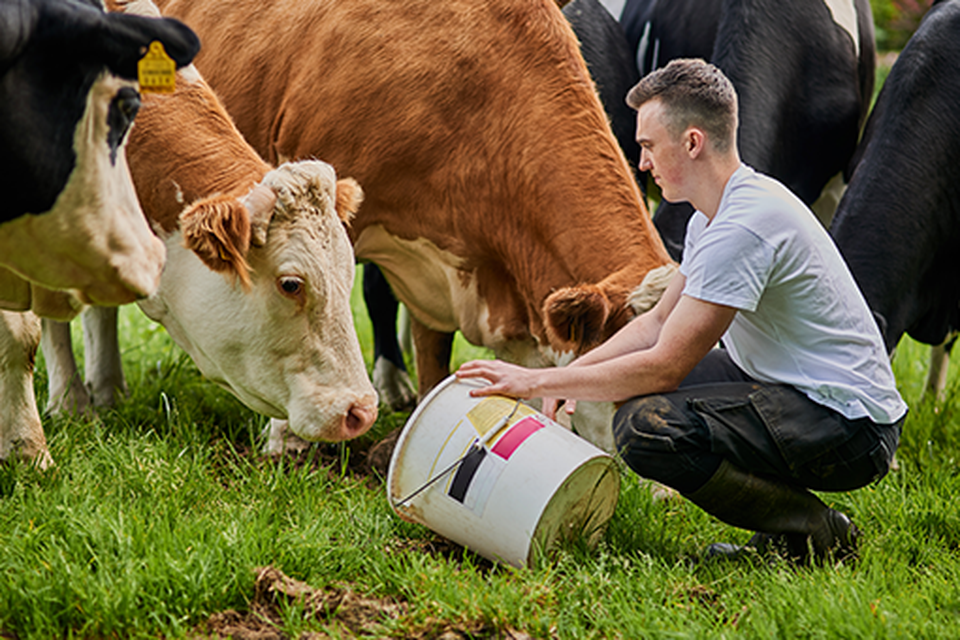 The risks are real: 5 of the most common dangers farmers face every day ...