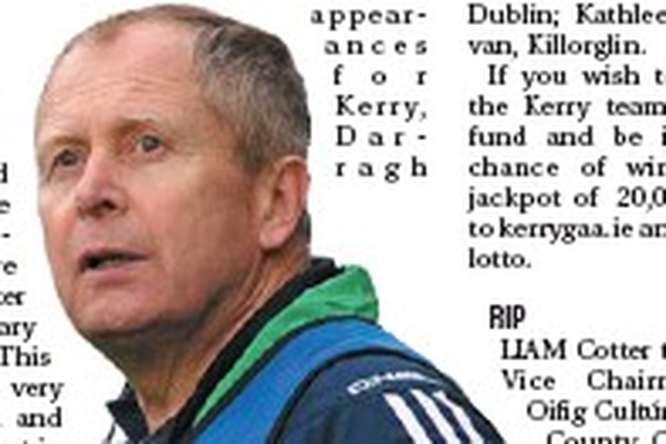Mickey Ned to manage minors | Irish Independent