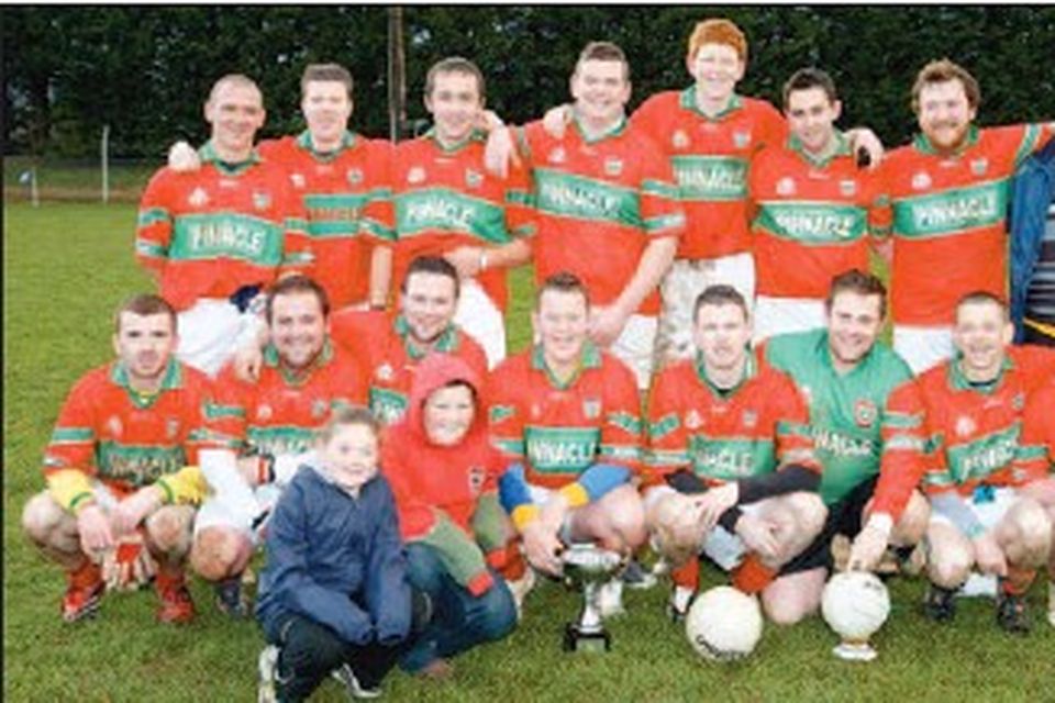 Determined Rathnew edge out Hollywood | Independent.ie