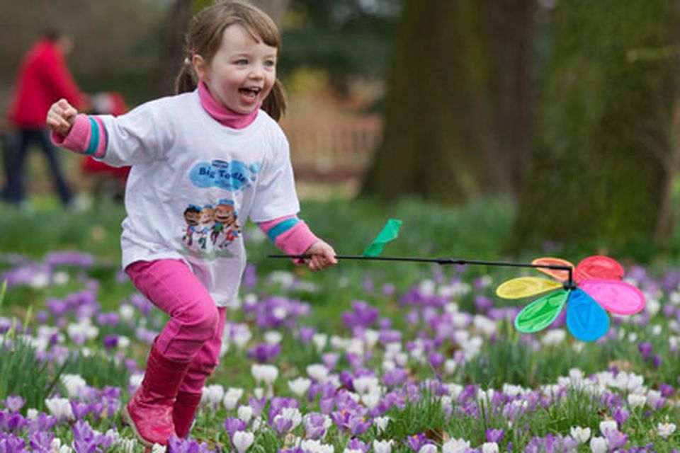 Raising funds for children is so easy it's a toddle | Independent.ie
