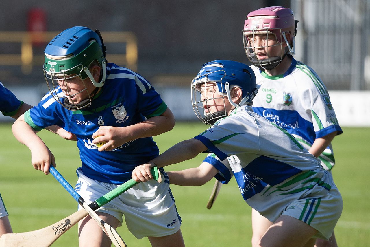 Around the Districts: Clonard to Glynn-Barntown | Irish Independent