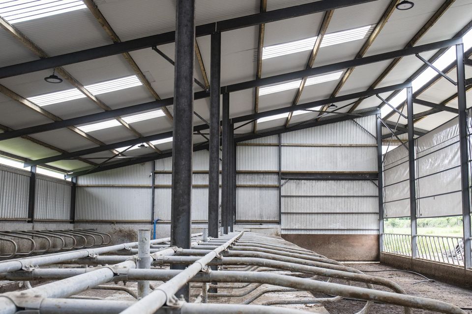 TAMS 3 ‘out-of-date already’ as new shed costs to remain high | Irish ...