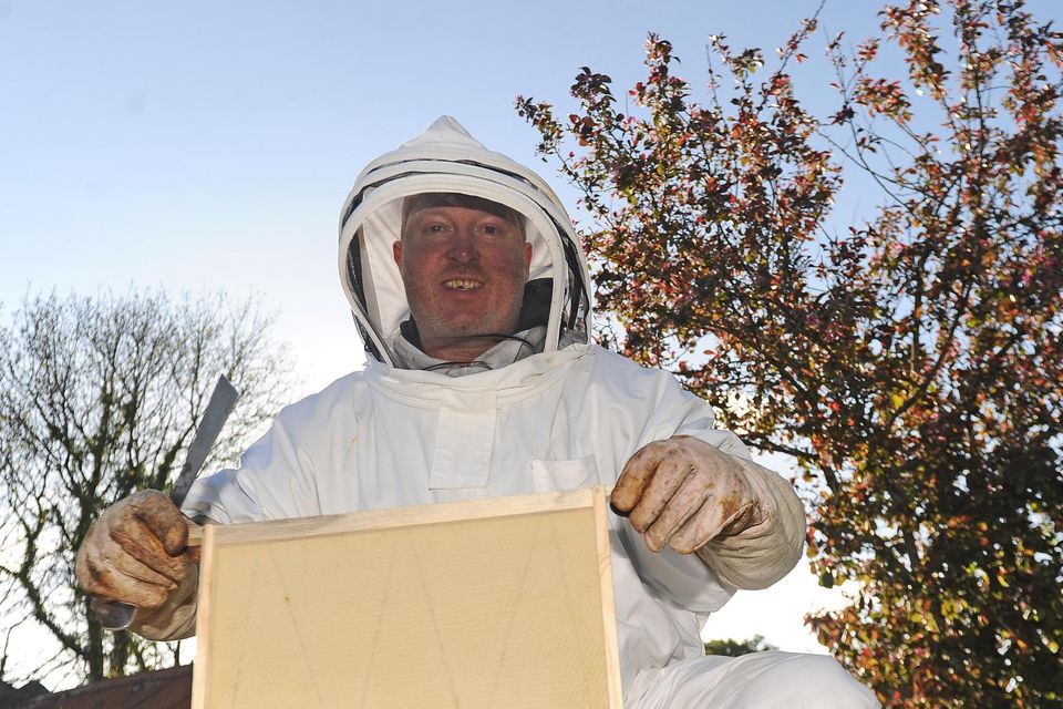 World Bee Day: Why there’s a buzz about beekeeping – but the insects ...