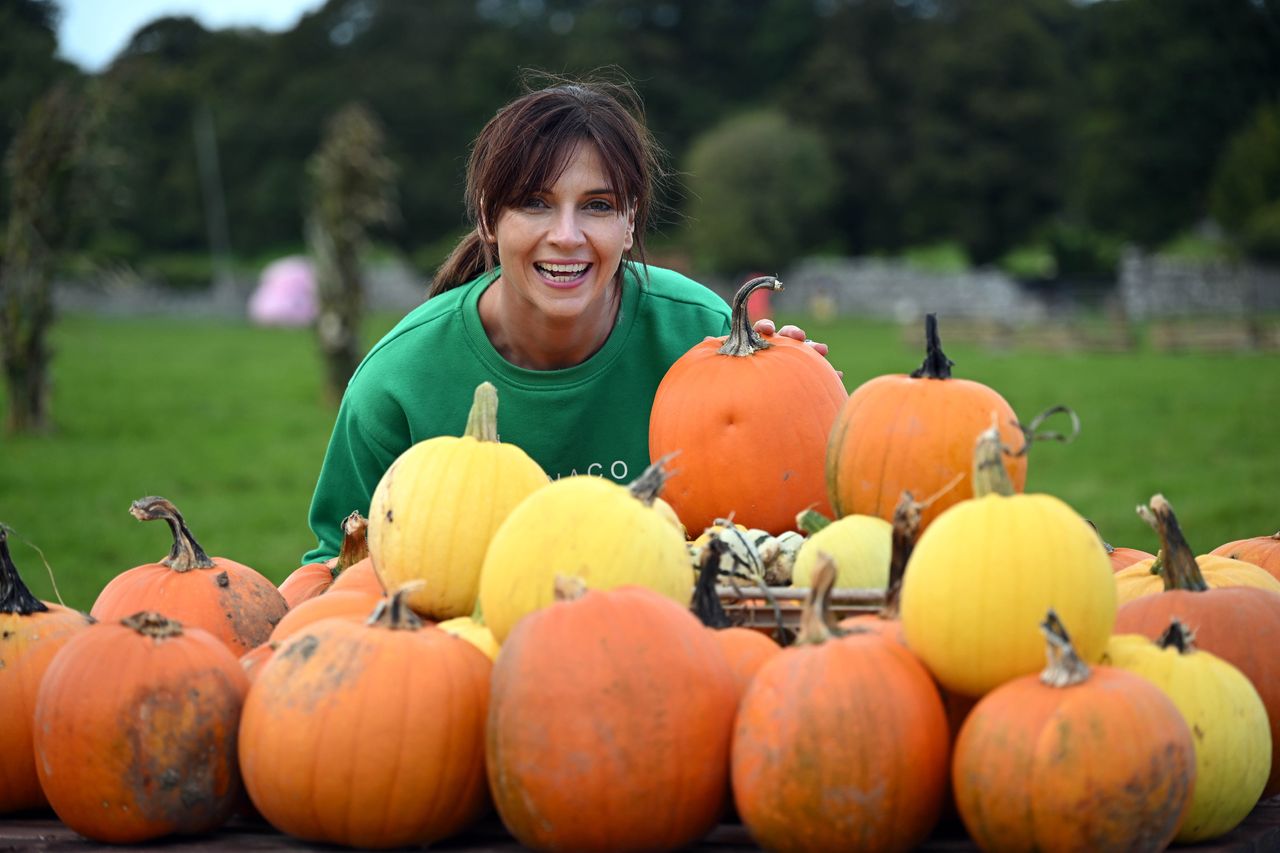 How this farmer’s daughter started with 1ac and built a booming pumpkin ...