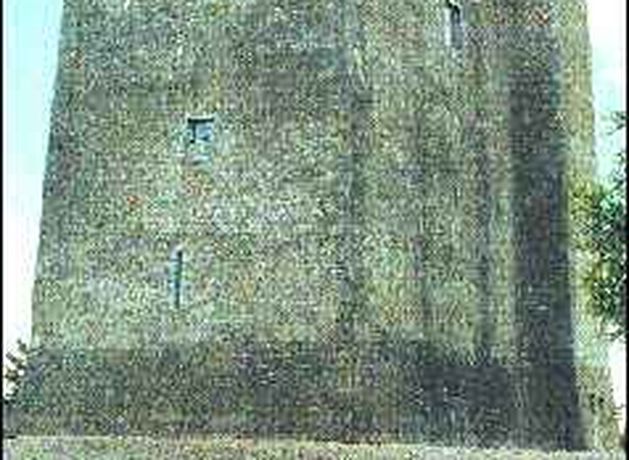 Redwood Castle | Irish Independent