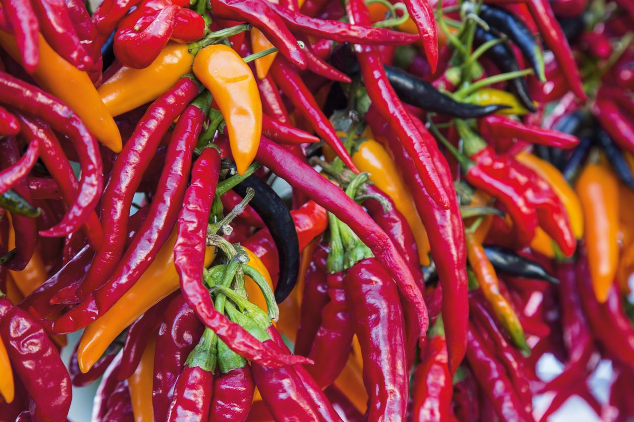 Stimulate the senses with chilli peppers | Independent.ie