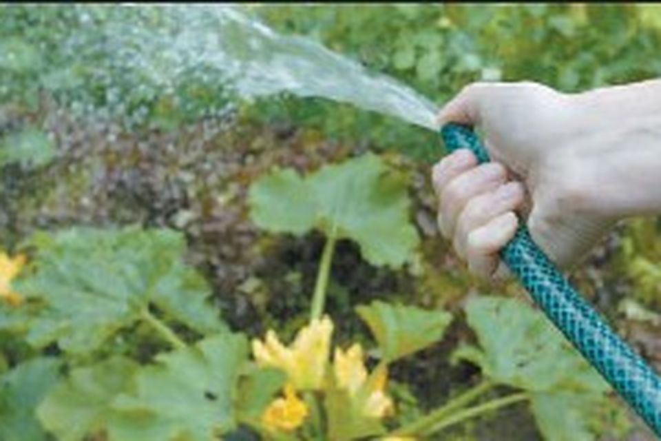 ENVIRONMENT WATCH: Get ready for water rationing | Independent.ie