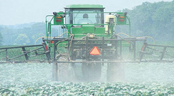 We may moan but regulations are crucial to farming in future | Irish ...