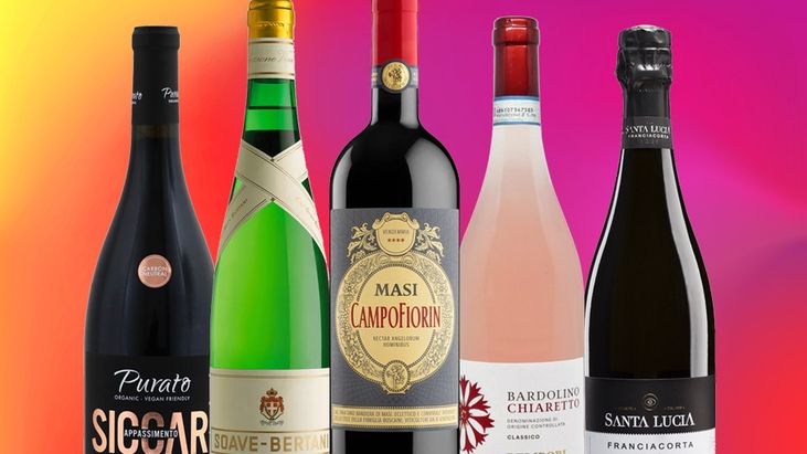 Bargain bottles to look out for in SuperValu s wine sale Irish Independent