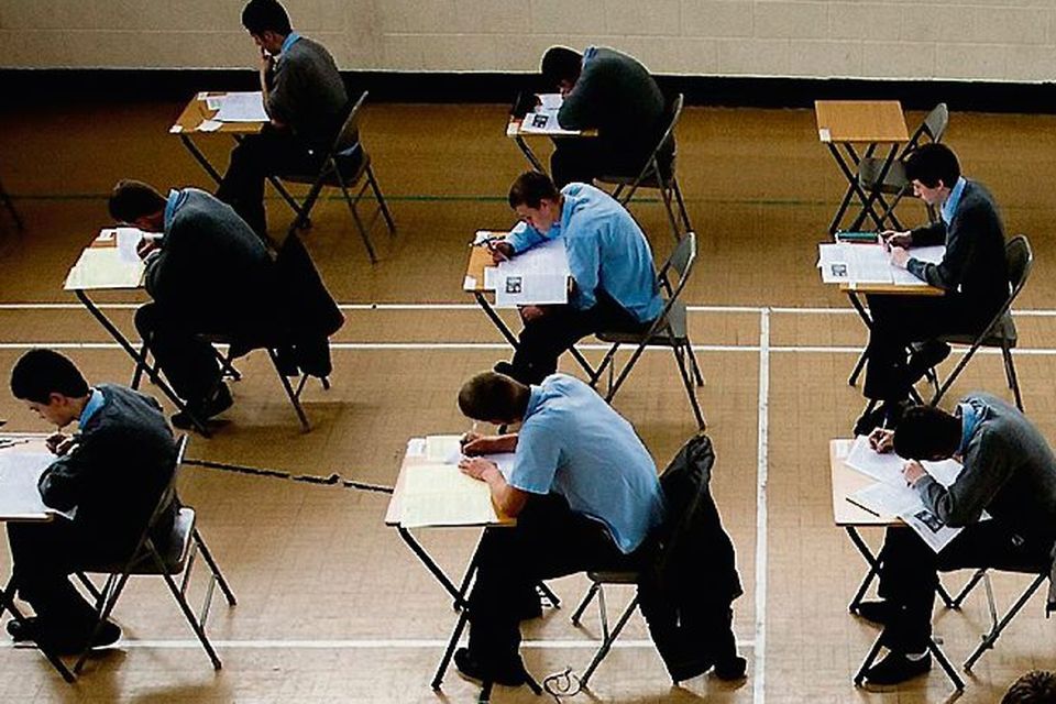 Be smart by eating well during exams | Irish Independent