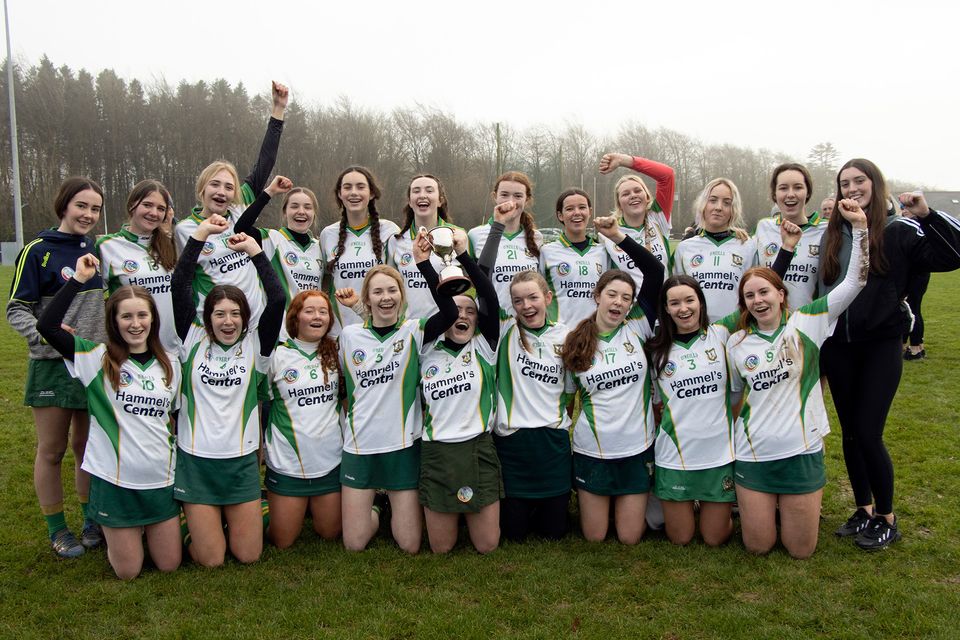 Cousins shines bright in Alley victory over brave Duffy Rovers | Irish ...