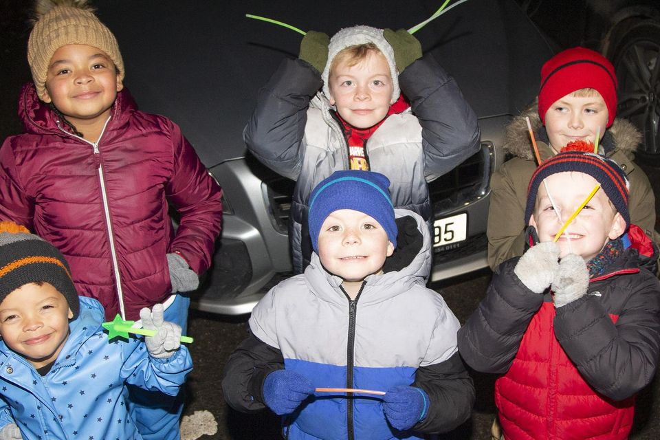 Pictures of a Candlelight Walk in Avondale Forest Park | Irish Independent