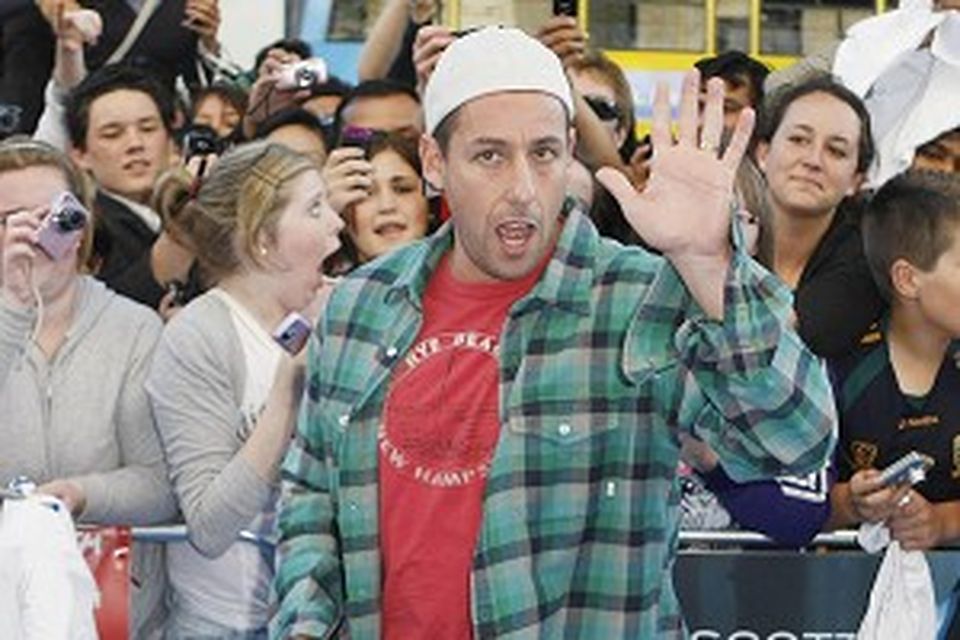 Sandler gets his teeth into role | Irish Independent