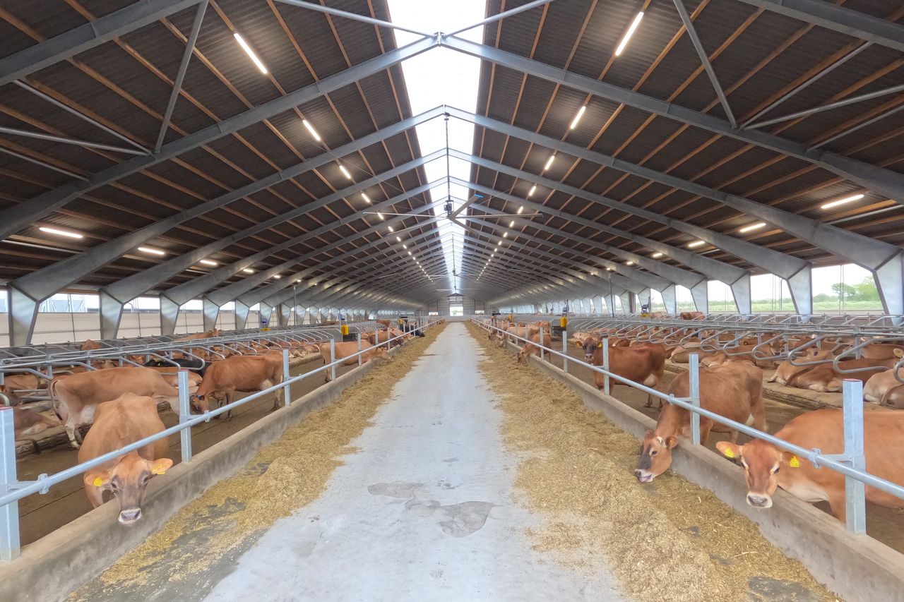 DeLaval hail world’s largest robot batch milking farm | Irish Independent
