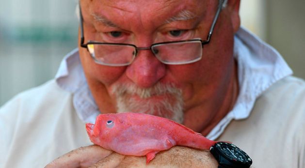 Rare fish with 'feet' caught off the west coast | Irish Independent