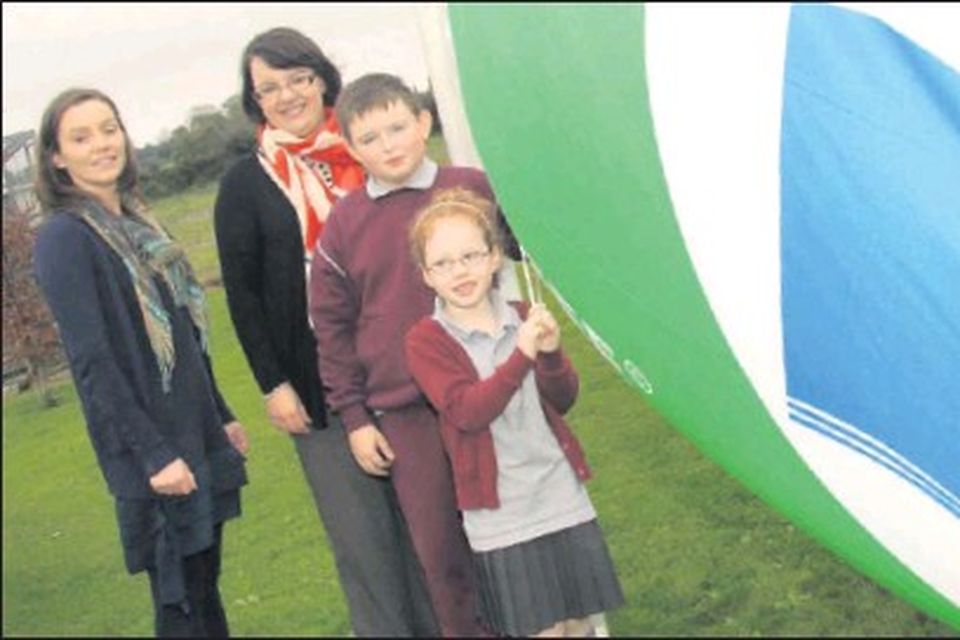 Monamolin gets its first Green Flag | Irish Independent