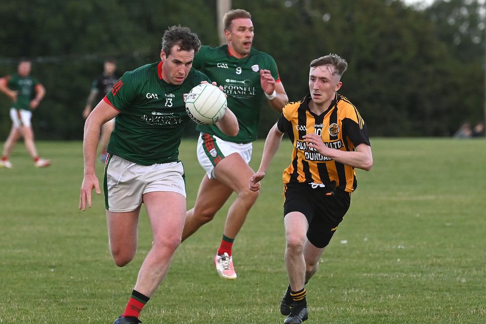 Louth GAA Division 3A reports | Irish Independent