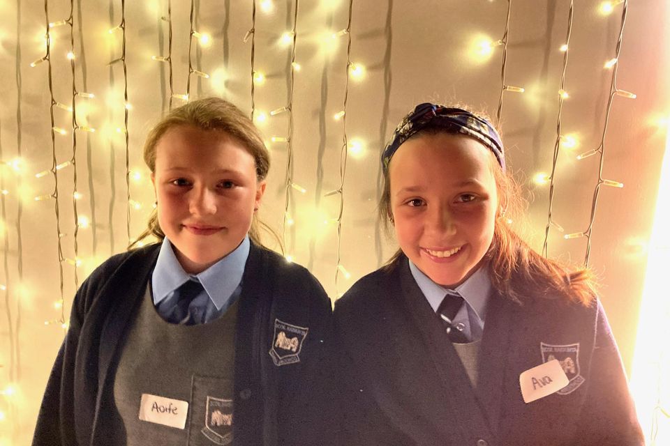 Ferns pupils are national game changers for climate | Irish Independent