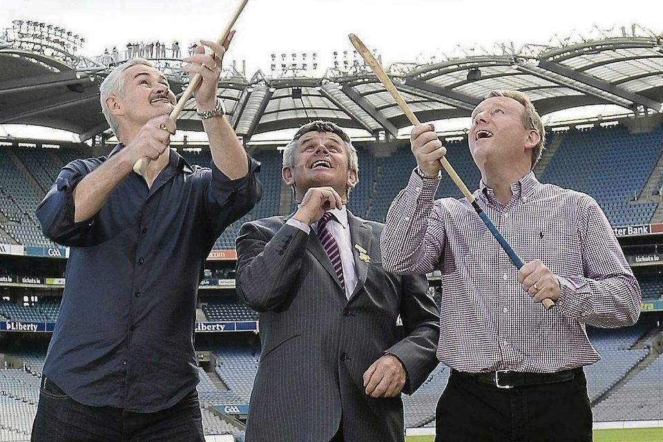 Wexford chairman challenges NHL revamp | Irish Independent