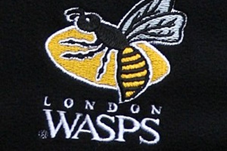 Wasps strengthen back-row options | Irish Independent