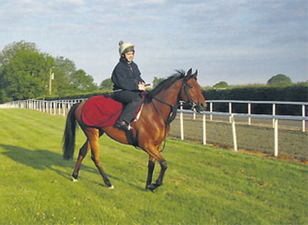 Master of his craft | Irish Independent