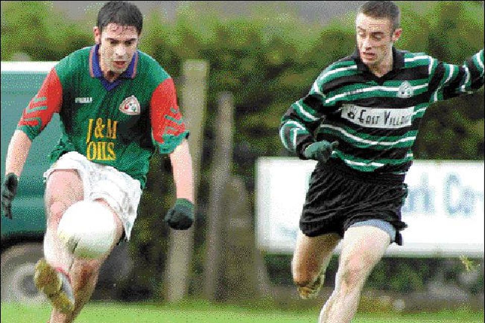 Mid Kerry lack real potency | Irish Independent