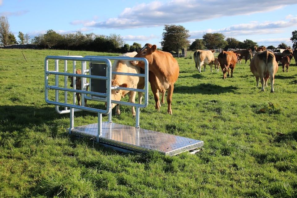Award-winning new automatic weighing and data analysis system can point ...