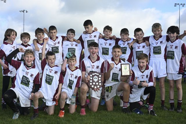 Brilliant Breen stars for Stratford-Grangecon in Under-13 ‘D’ encounter ...